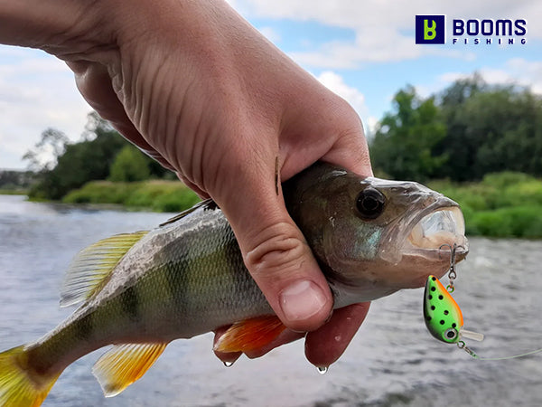 Fishing Lures – Booms Fishing Official